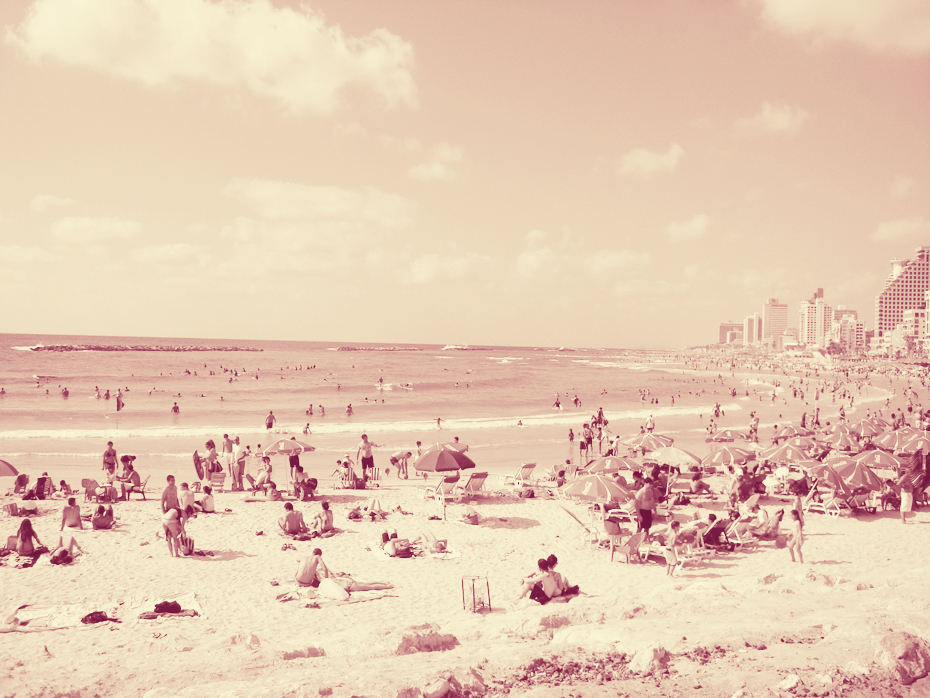 next stop: Israel - Emily Salomon