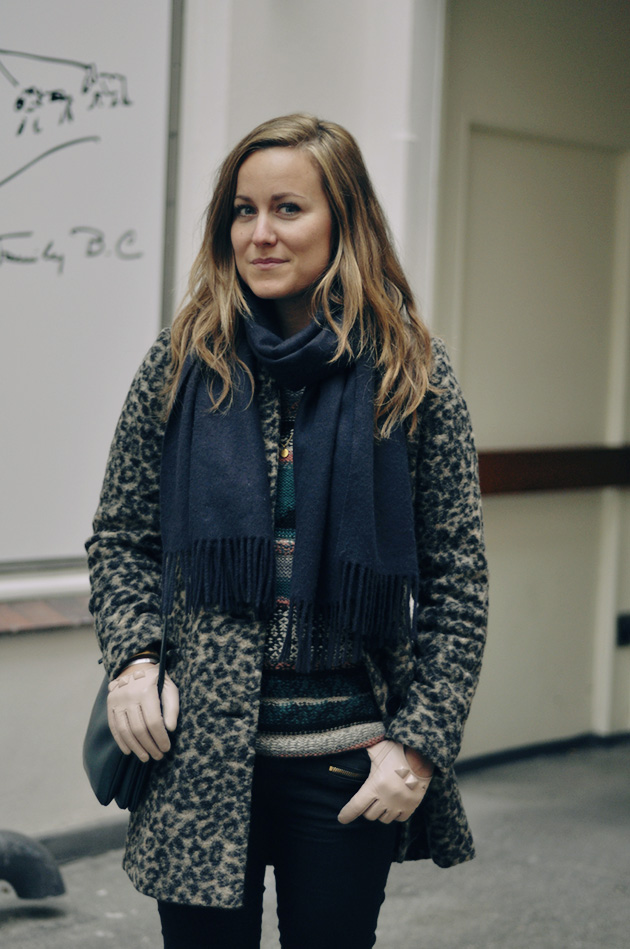 I de luneste sager - Emily Salomon