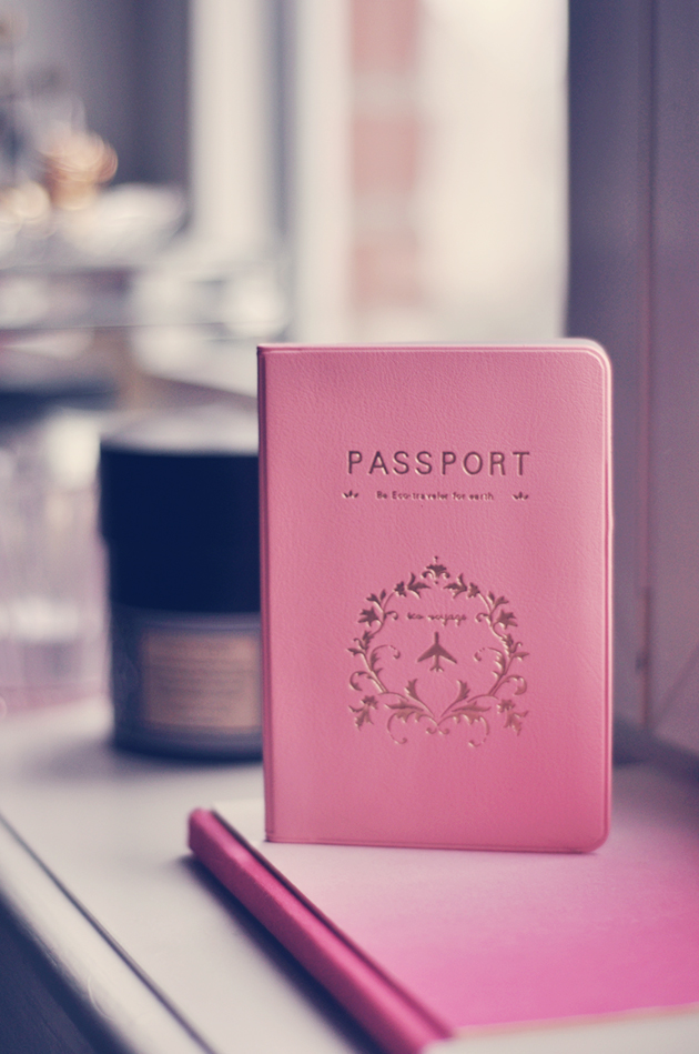 Pink pas - Emily Salomon